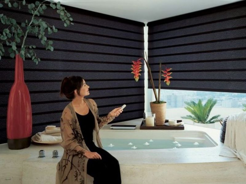 Remote Control Window Coverings – Smart Home Automation Pro ...